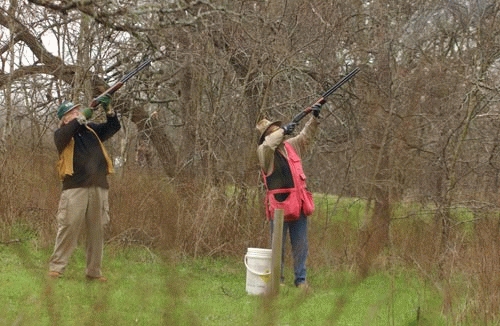 Experience a Driven Pheasant Tower Shoot at Upland Bird Country