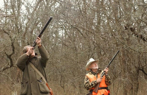 Experience a Driven Pheasant Tower Shoot at Upland Bird Country
