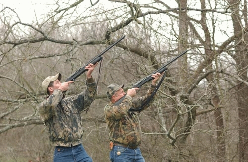 Experience a Driven Pheasant Tower Shoot at Upland Bird Country