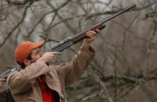 Experience a Driven Pheasant Tower Shoot at Upland Bird Country