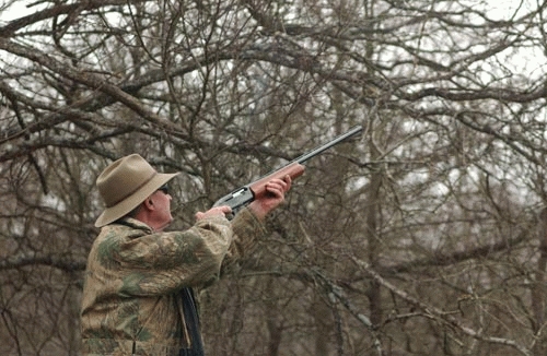Experience a Driven Pheasant Tower Shoot at Upland Bird Country