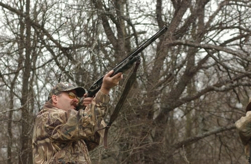 Experience a Driven Pheasant Tower Shoot at Upland Bird Country