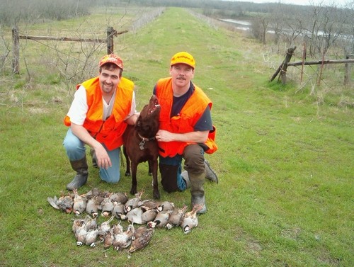 Upland Bird Country - UBC Hunters photo gallery